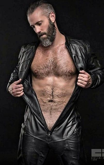 Hairy Chested Male Foto 13