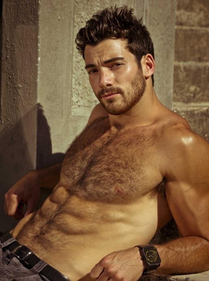 Hairy Chested Male Photo 16