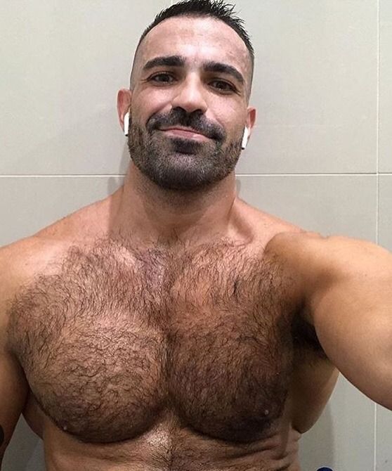 Hairy Chested Male Photo 17