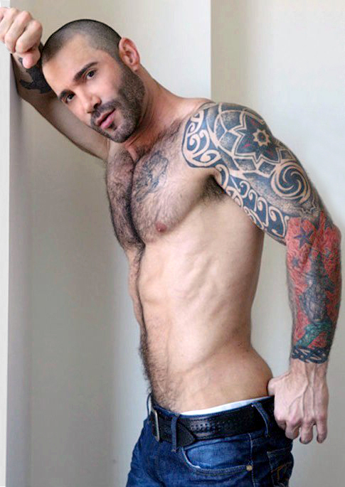 Hairy Chested Male Photo 3