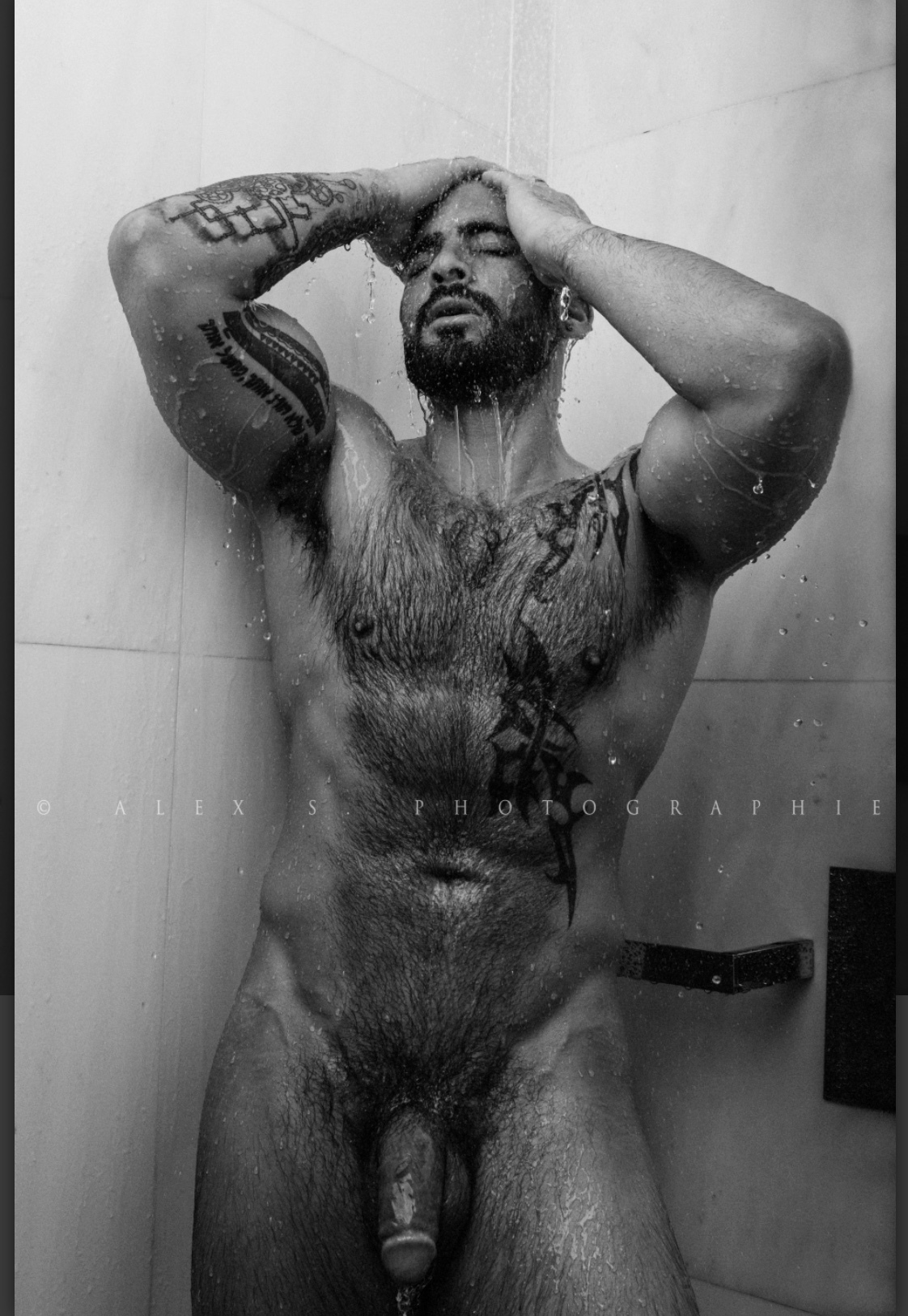Alexis Salgues 3 Photo 12