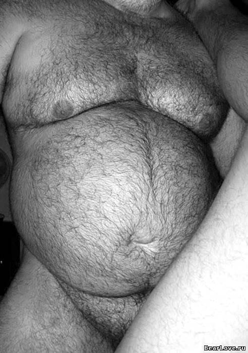 Russian Bears 2 Photo 32