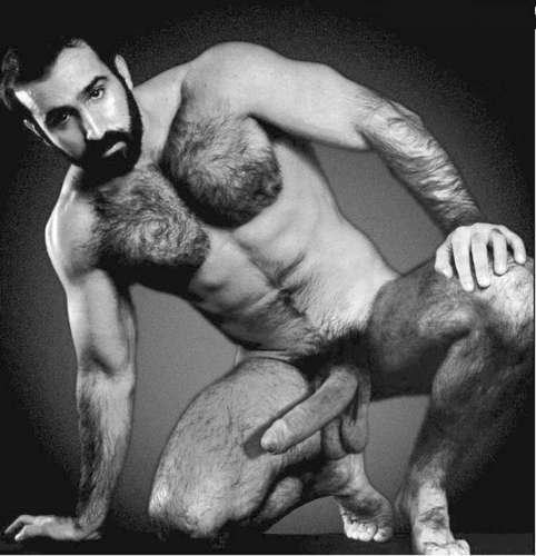 Hairy Cocks 6 Photo 88