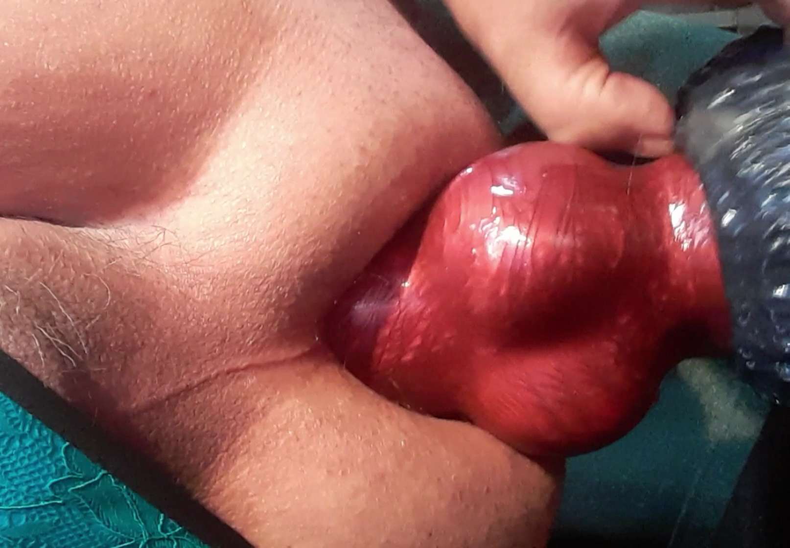 My Wolf Knot Dildo Photo 15
