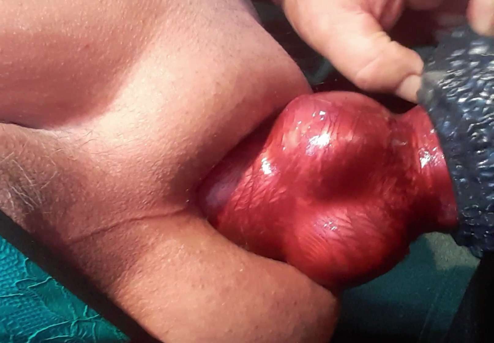 My Wolf Knot Dildo Photo 20