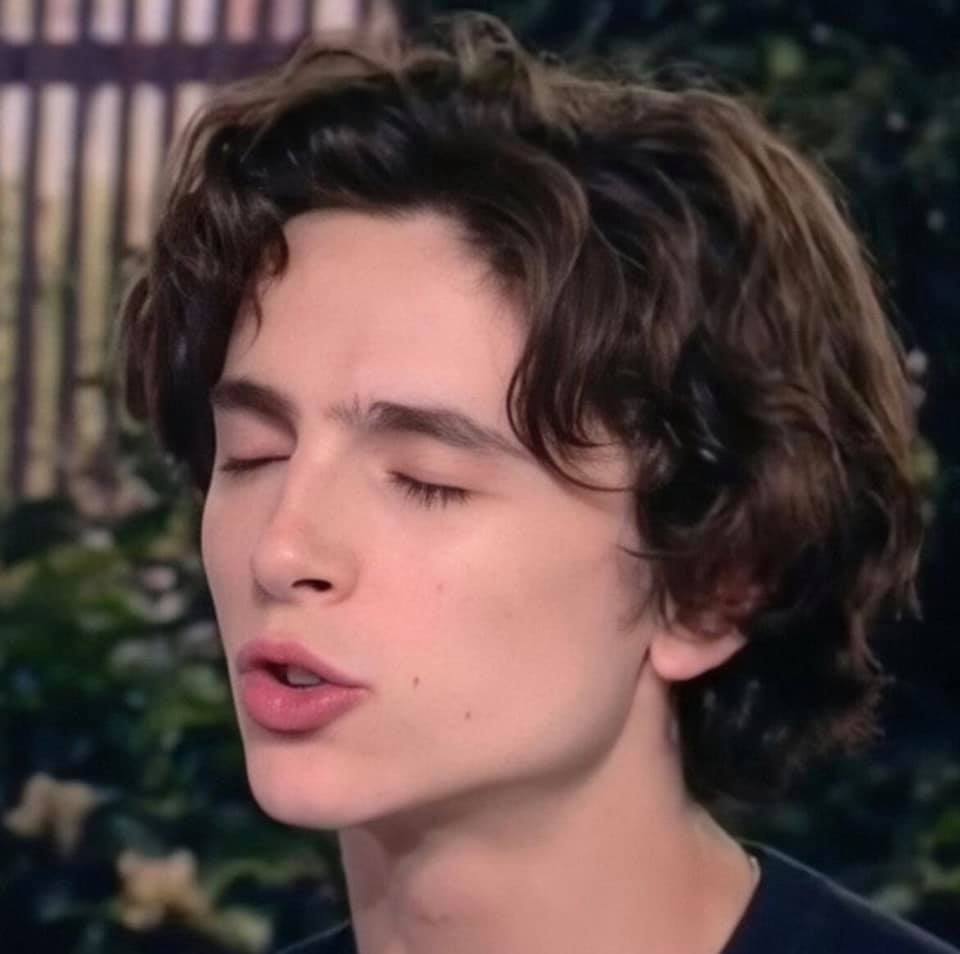 Leaked Timothée Chalamet Photo 5