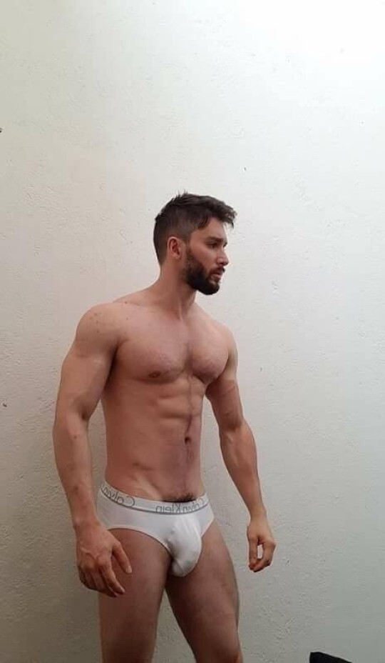 Bulges Vol7 Photo 81