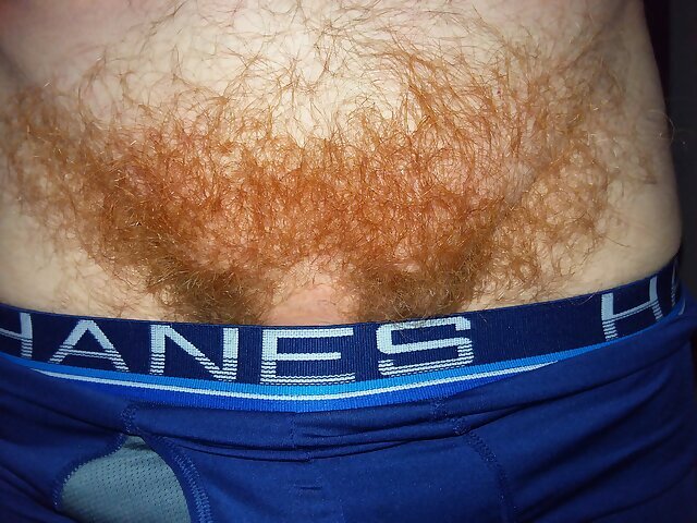 Jjmontana Ginger Bush Photo 25