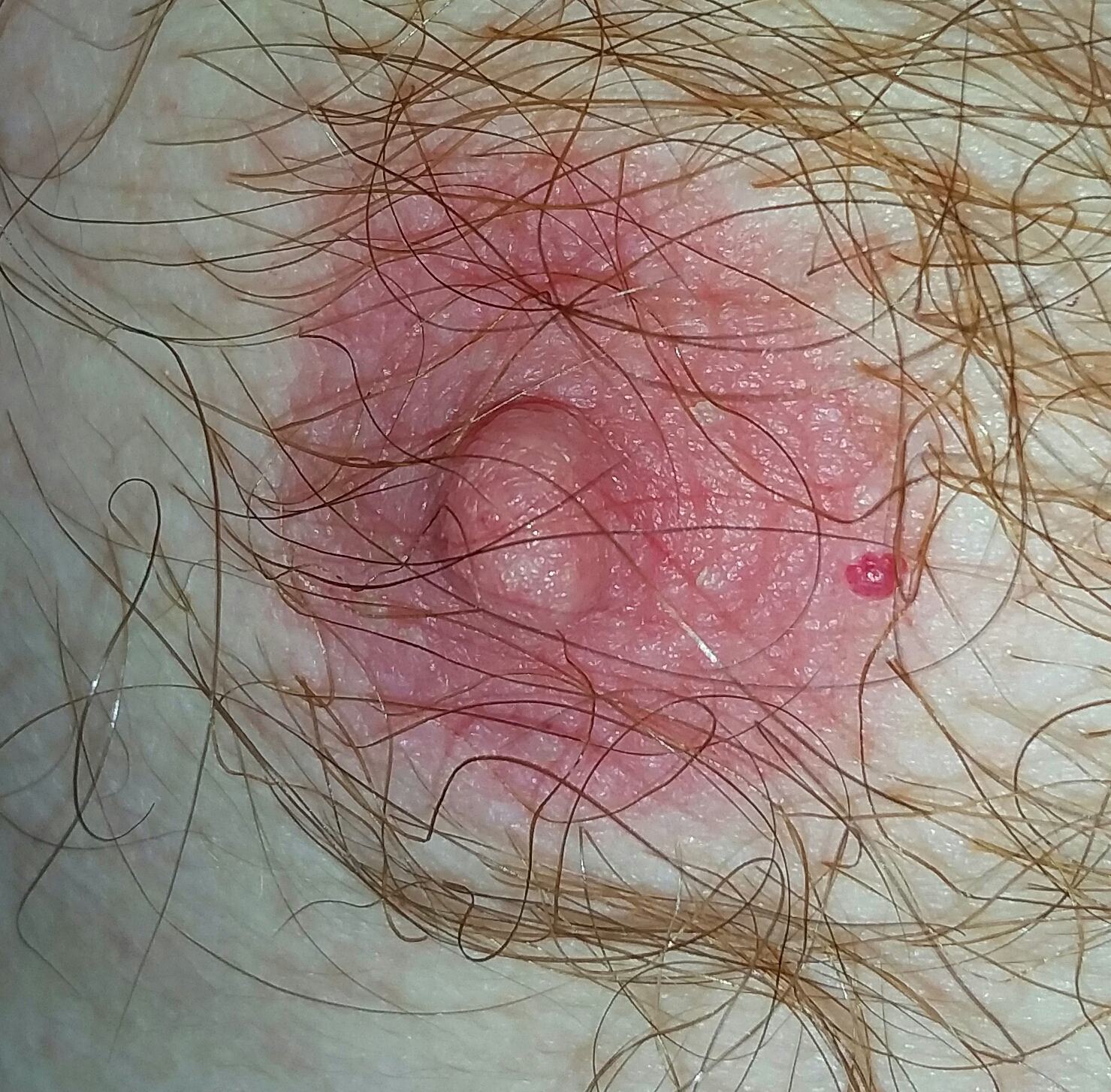 Jjmontana Nipples Photo 6