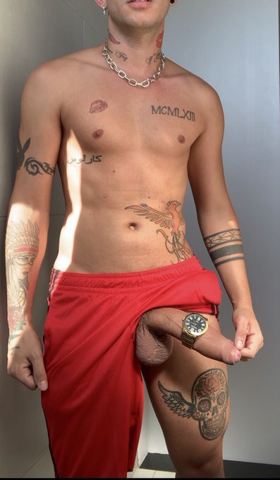 Karlos Fernandes Photo 8 