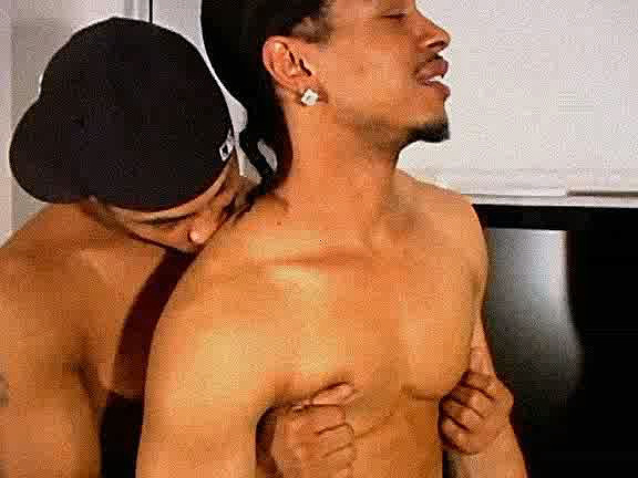 Tiger Tyson Supreme Misc Take Em Down Pitbull Productions Photo 51