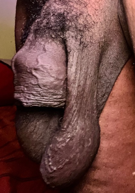 Black Bull Balls 2023 Photo 1