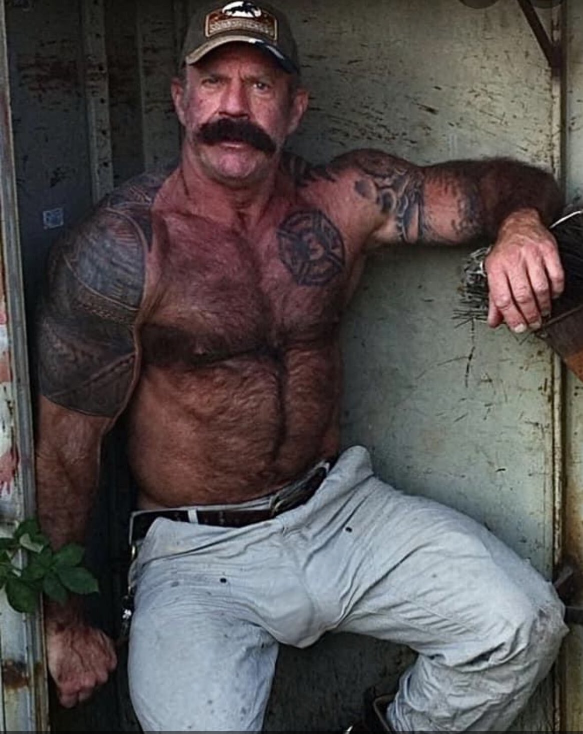 Muscle Daddy 4 Photo 13