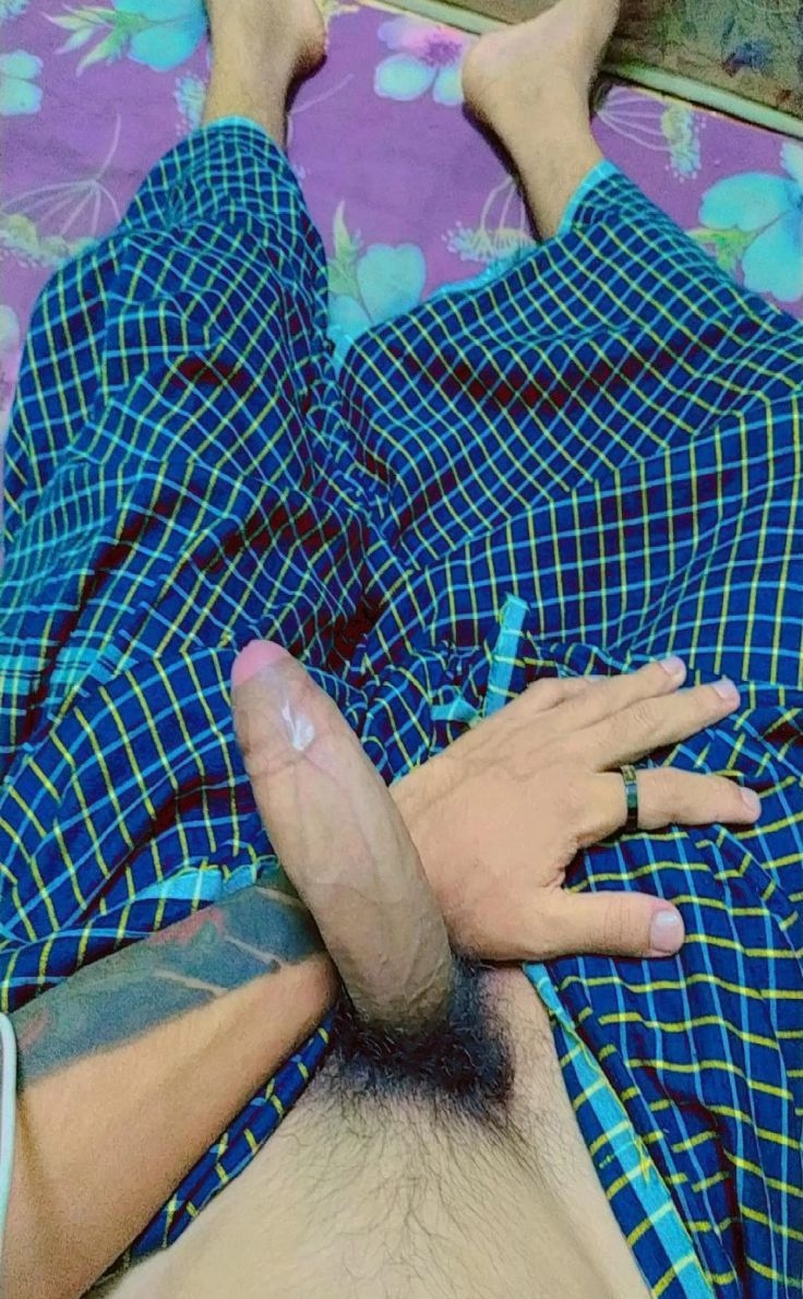 Myanmar Cock Photo 4 