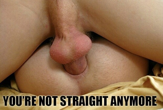 Gay Caption 3 With S Photo 17