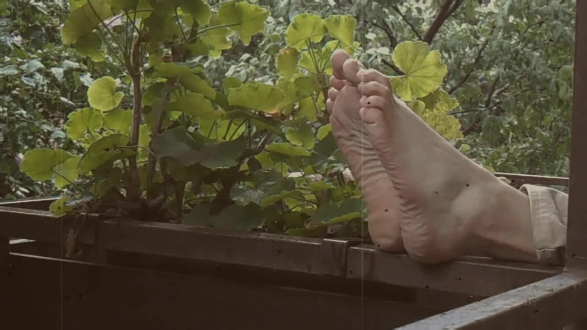 My Soft Wrinkly Soles Ii