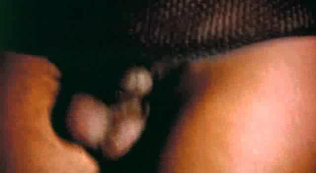 The Erotic Films 1973 6376