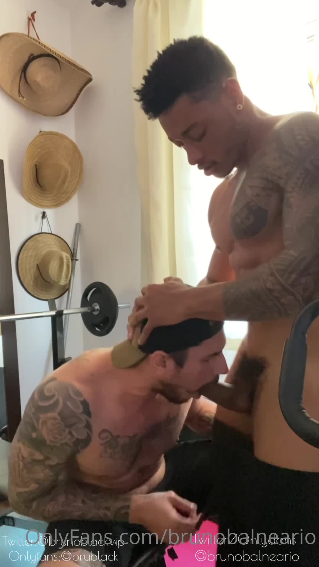 Video 553 Sanninred