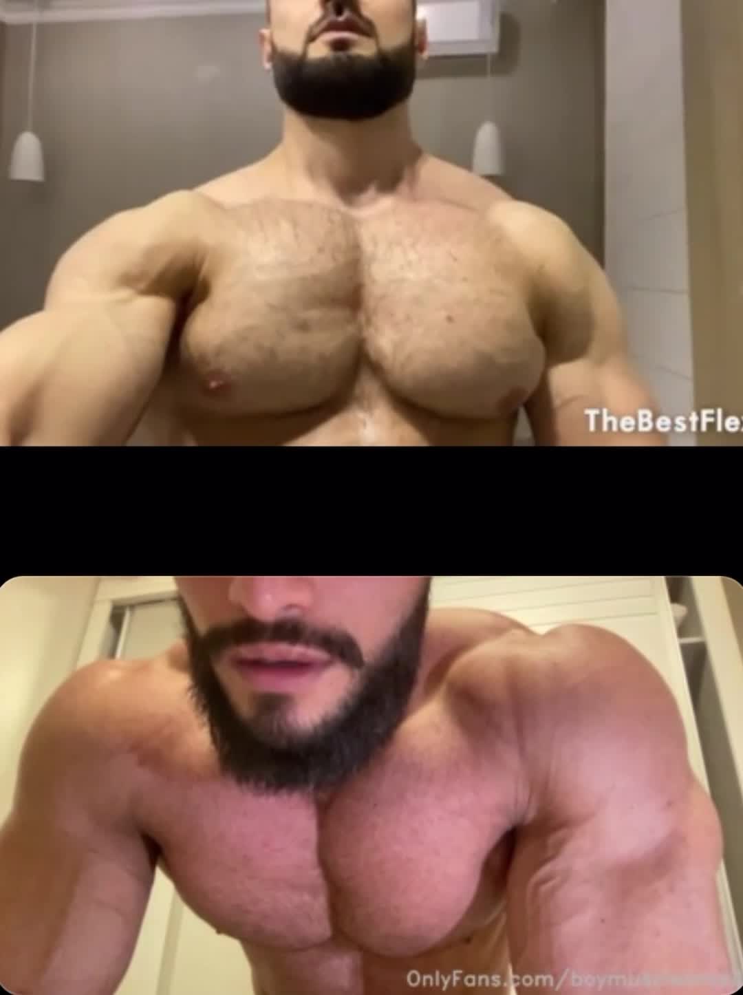 Duo Pec Flex