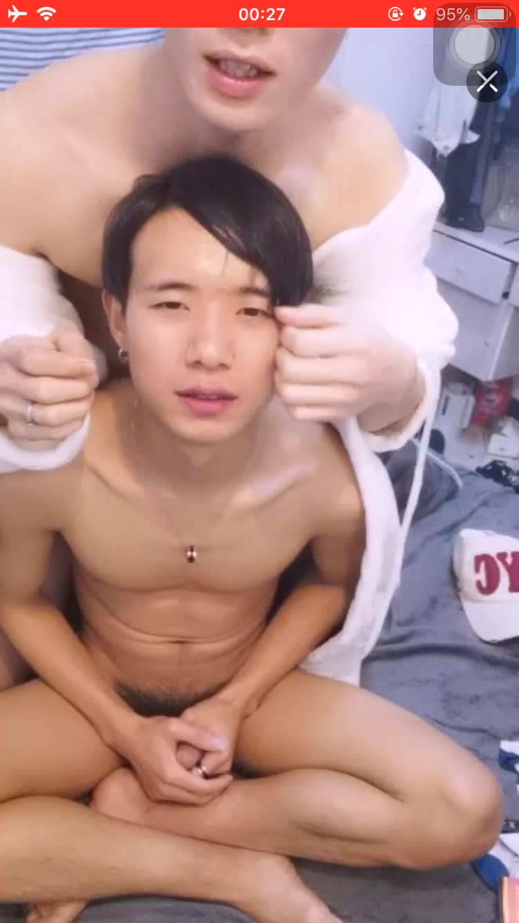 Chinese Gv 2